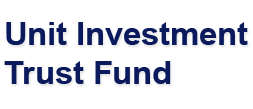 Unit Investment Trust Fund : CMS